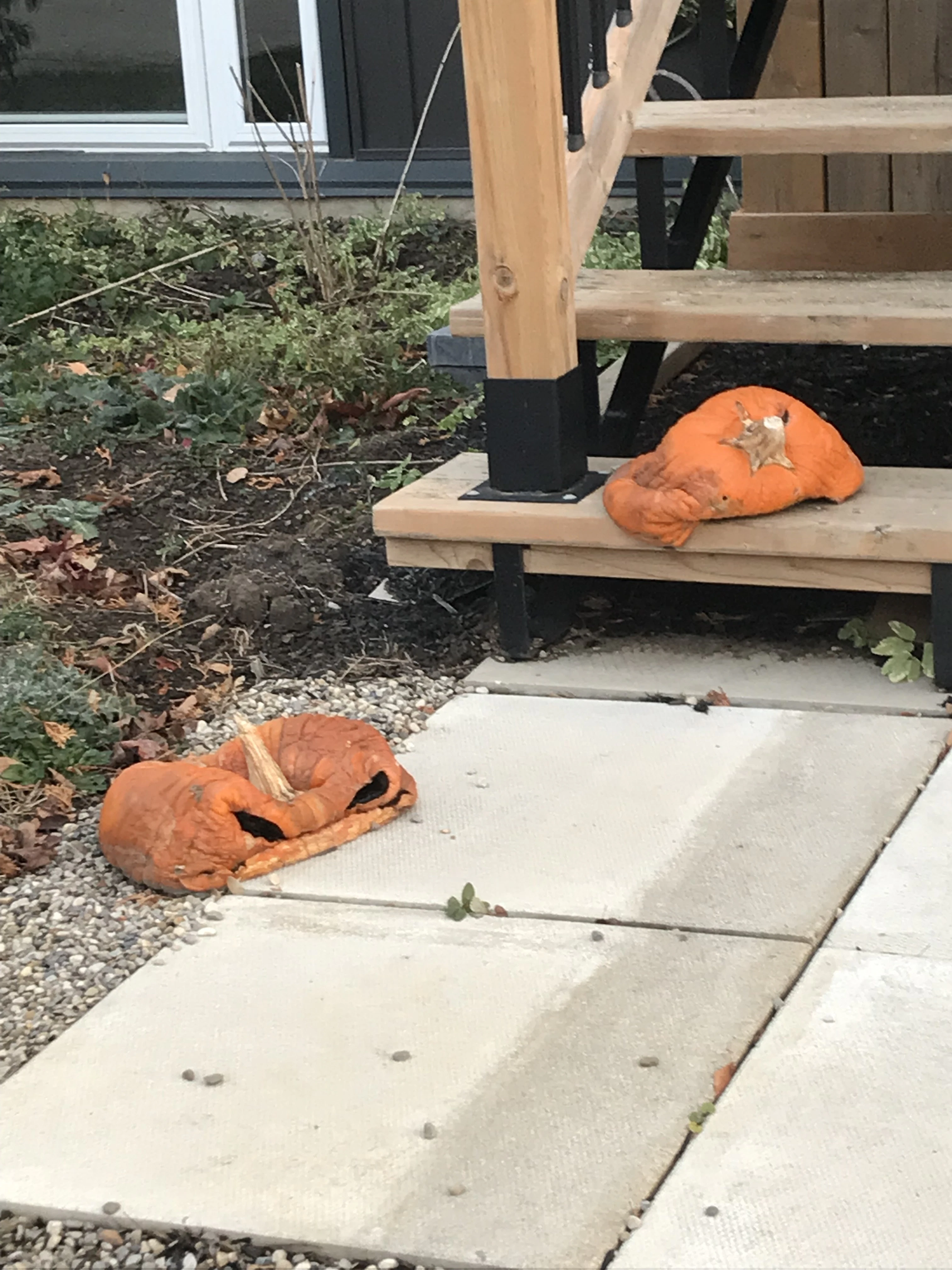 Pumpkins go Bananas! — Art of Soil